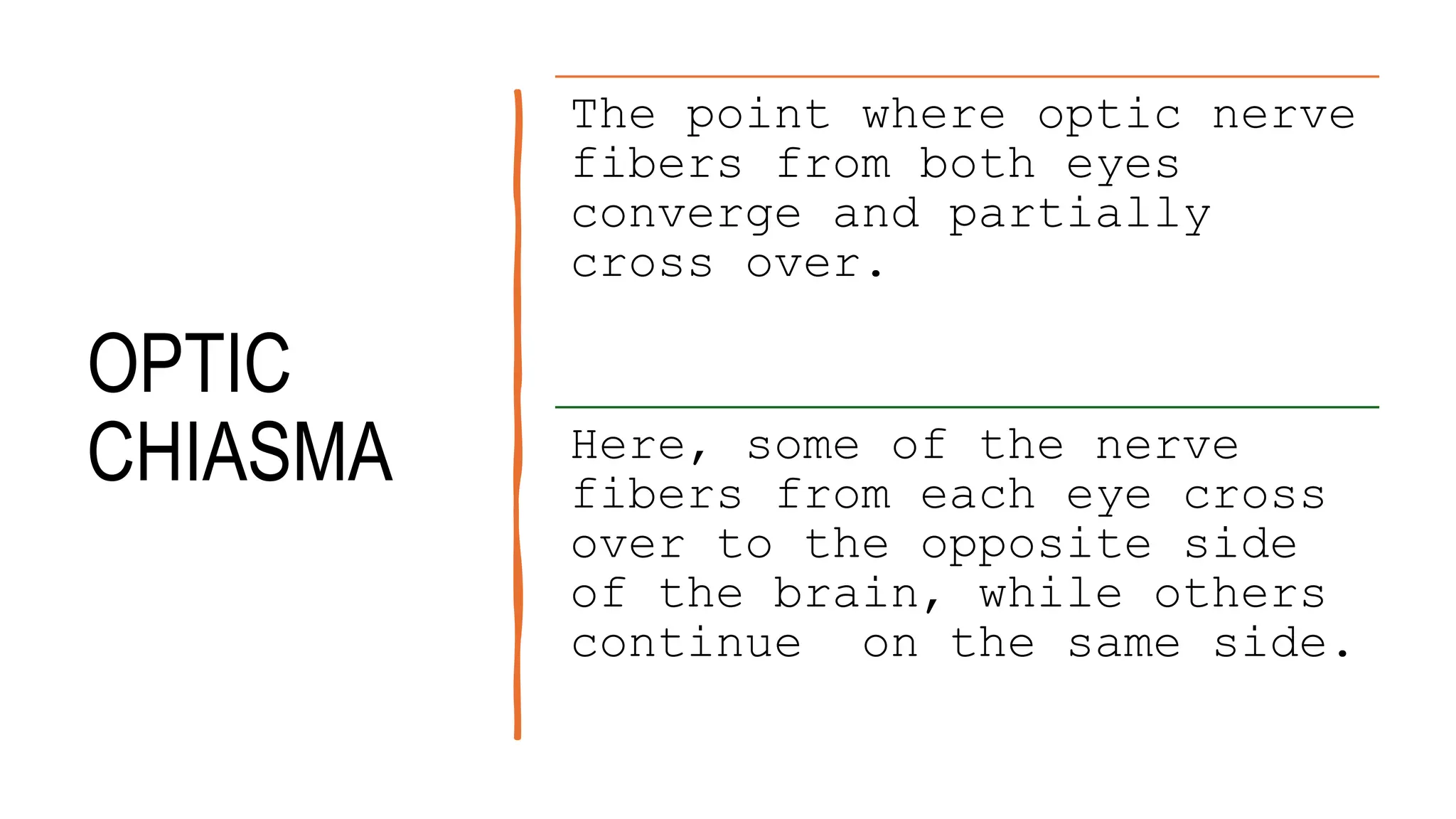 Visual pathway of eye with necessary lessions | PPTX