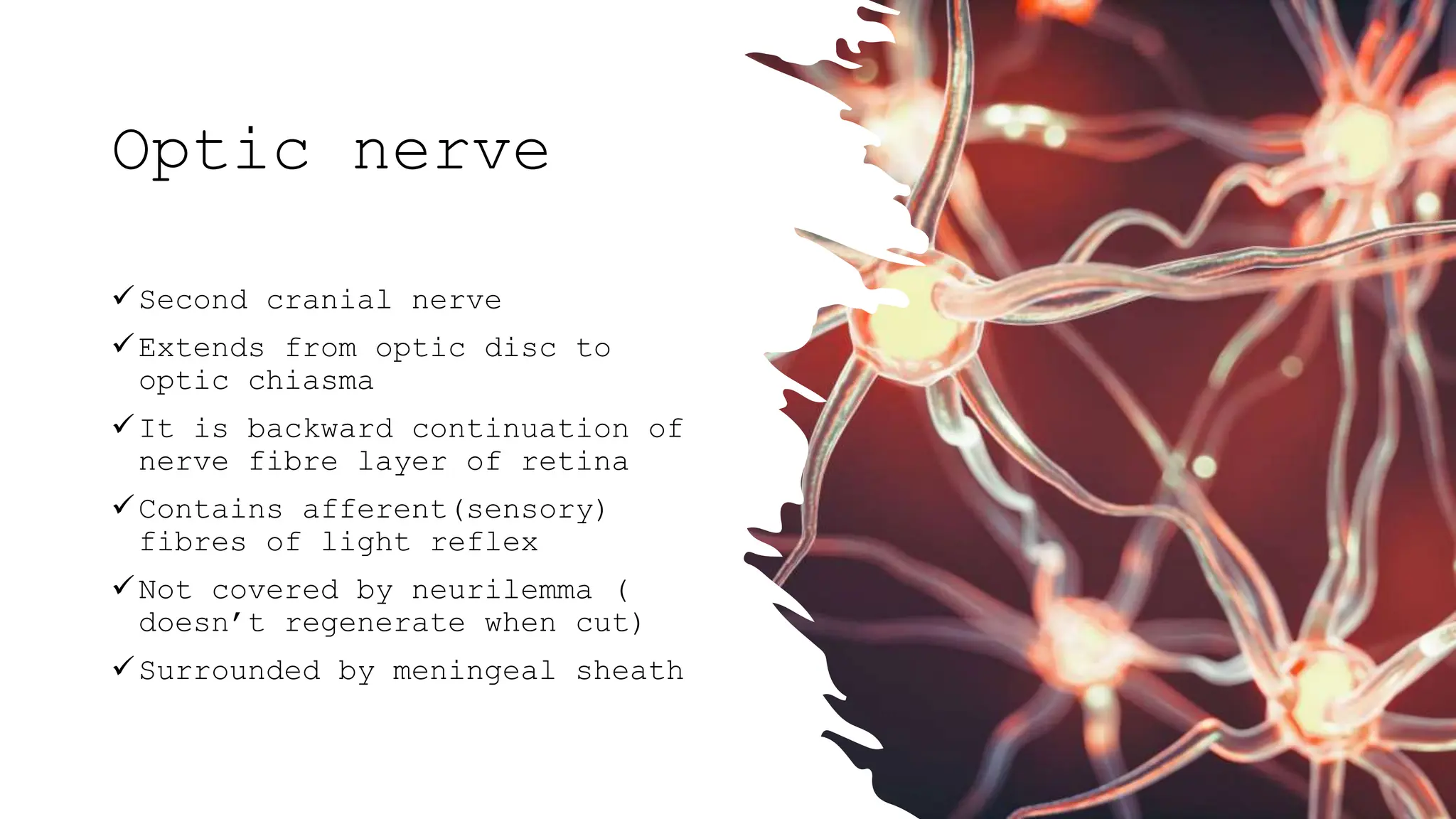 Visual pathway of eye with necessary lessions | PPTX