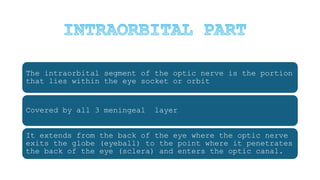 Visual pathway of eye with necessary lessions | PPTX