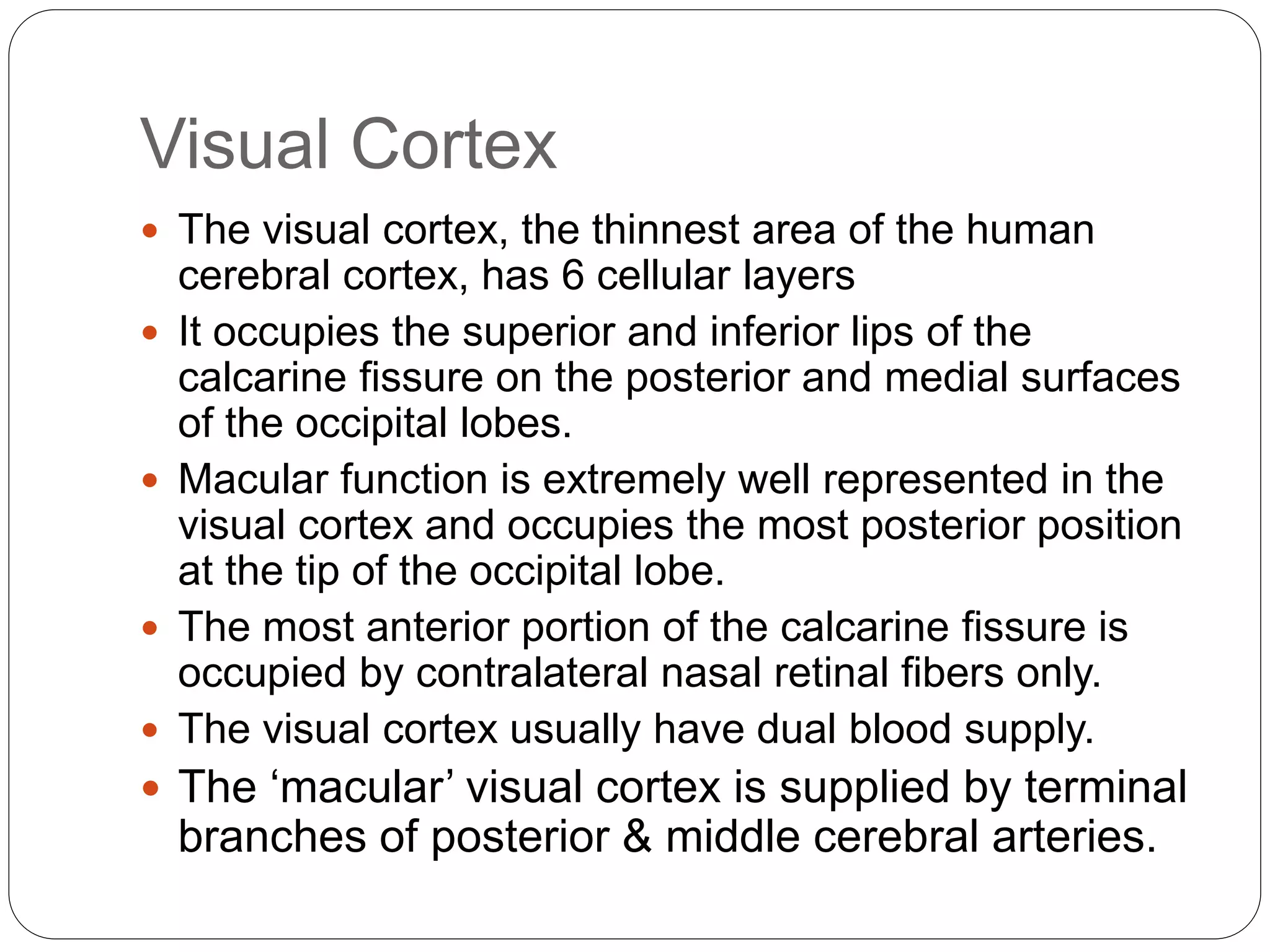 Visual pathway and its defects | PPTX