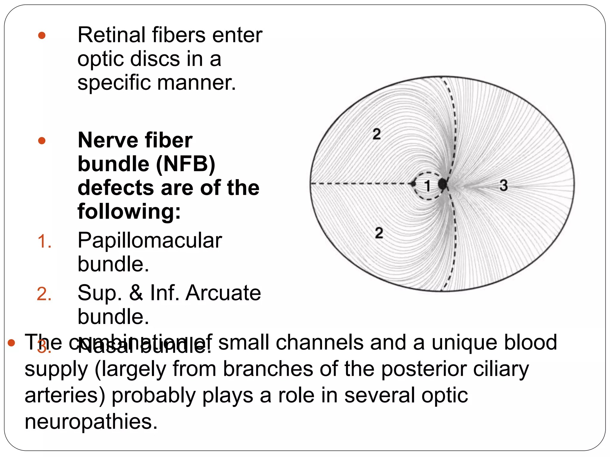 Visual pathway and its defects | PPTX