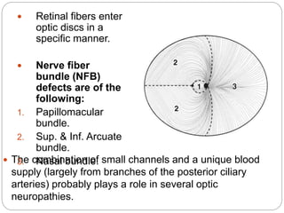 Visual pathway and its defects | PPTX