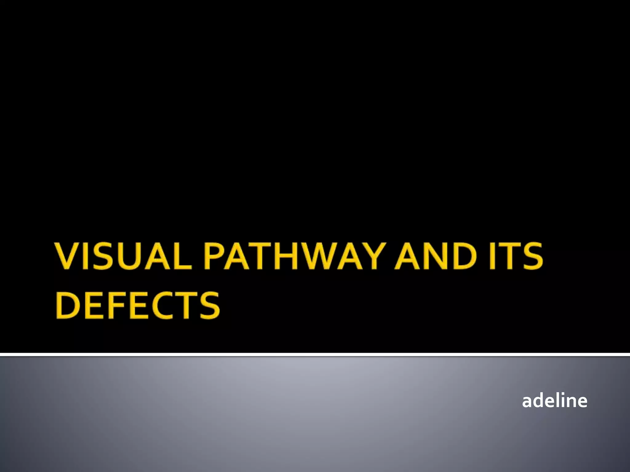 Visual pathway and its defects | PPTX