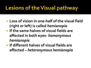 Visual pathway and its defects | PPTX