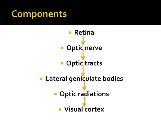 Visual pathway and its defects | PPTX