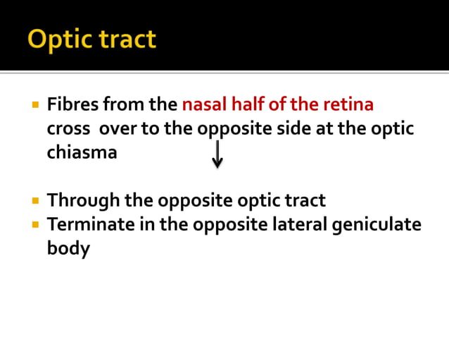 Visual pathway and its defects | PPTX