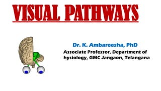 VISUAL PATH WAYS BY DR K AMBAREESHA GOUD | PPSX