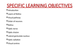 VISUAL PATH WAYS BY DR K AMBAREESHA GOUD | PPT