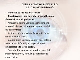 visual pathway diseases and clinical significance pptx | PPTX