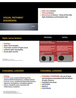 Visual Pathway Disorders.pptx.pdfcvnfbffjjf | PDF
