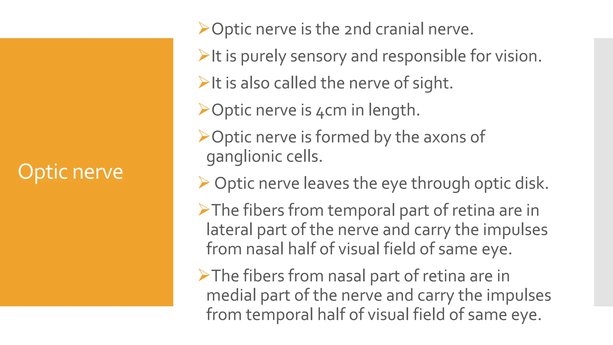 ANATOMY AND PHYSIOLOGY OF VISUAL PATHWAY | PPTX
