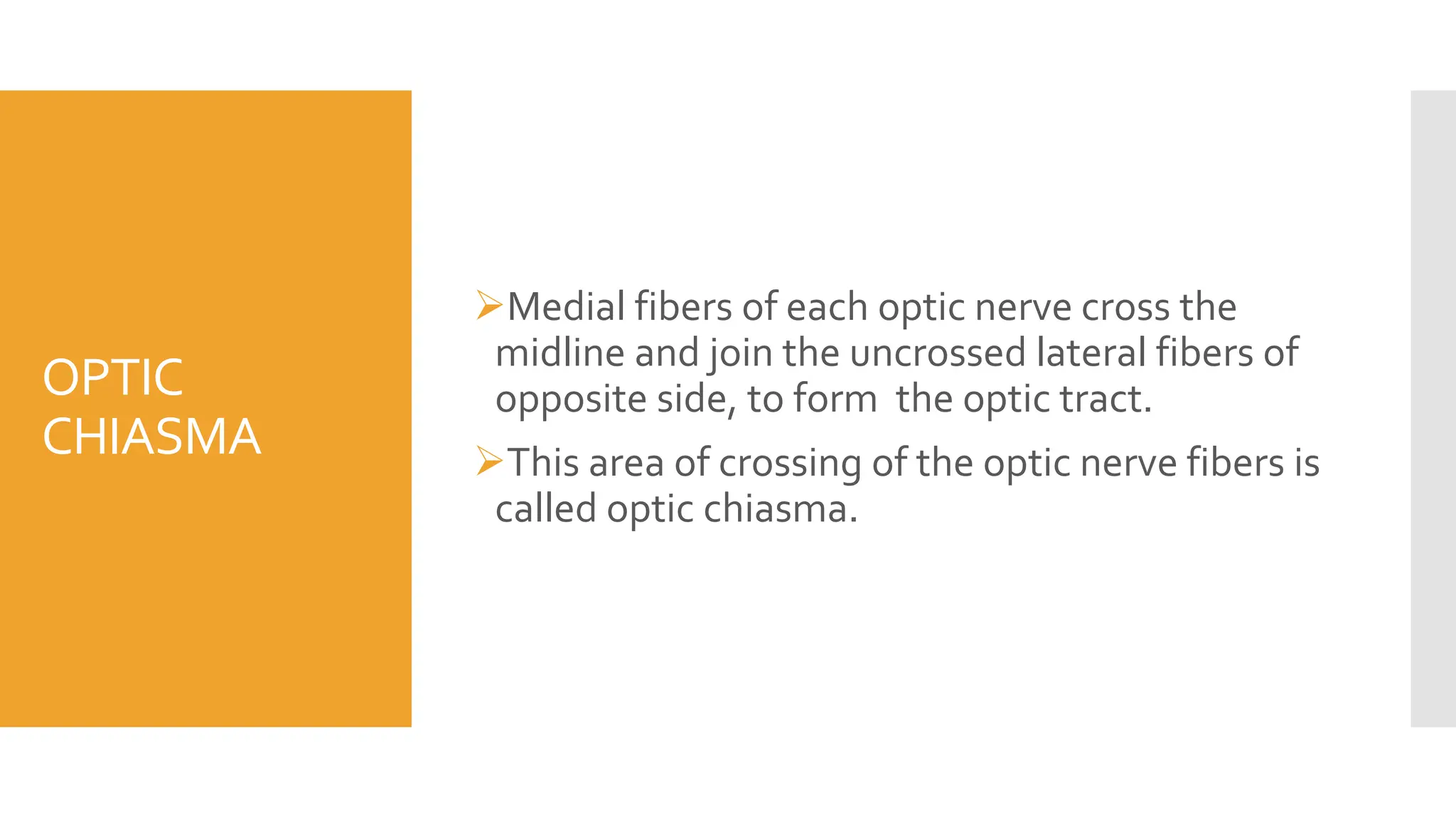 ANATOMY AND PHYSIOLOGY OF VISUAL PATHWAY | PPTX