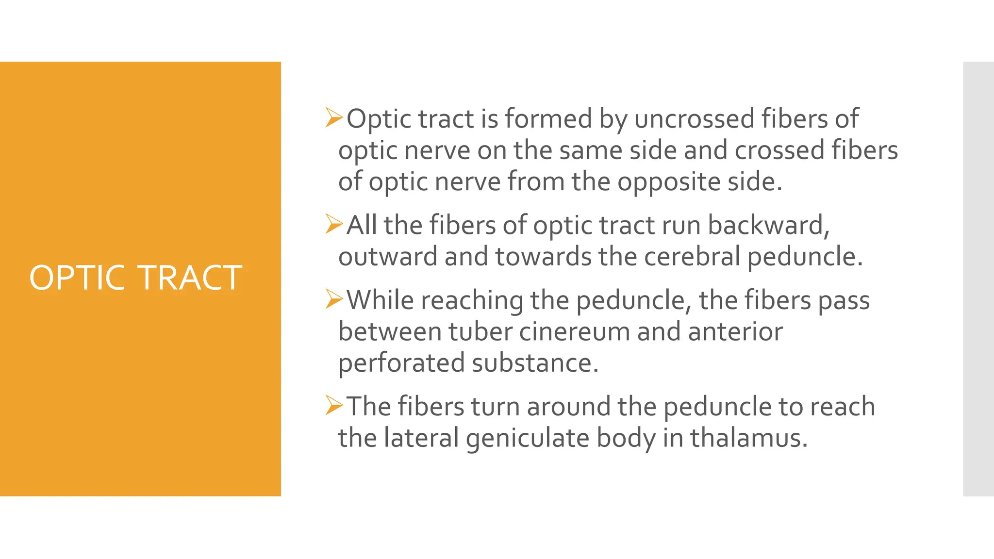 ANATOMY AND PHYSIOLOGY OF VISUAL PATHWAY | PPTX