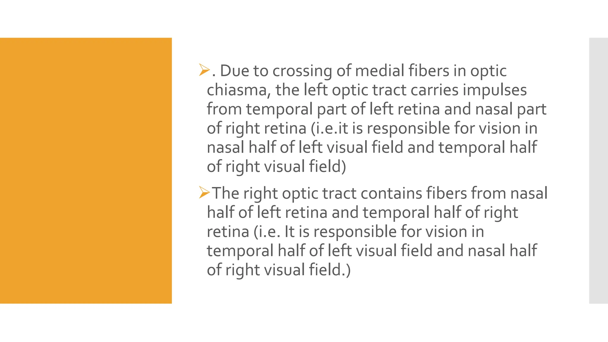 ANATOMY AND PHYSIOLOGY OF VISUAL PATHWAY | PPTX