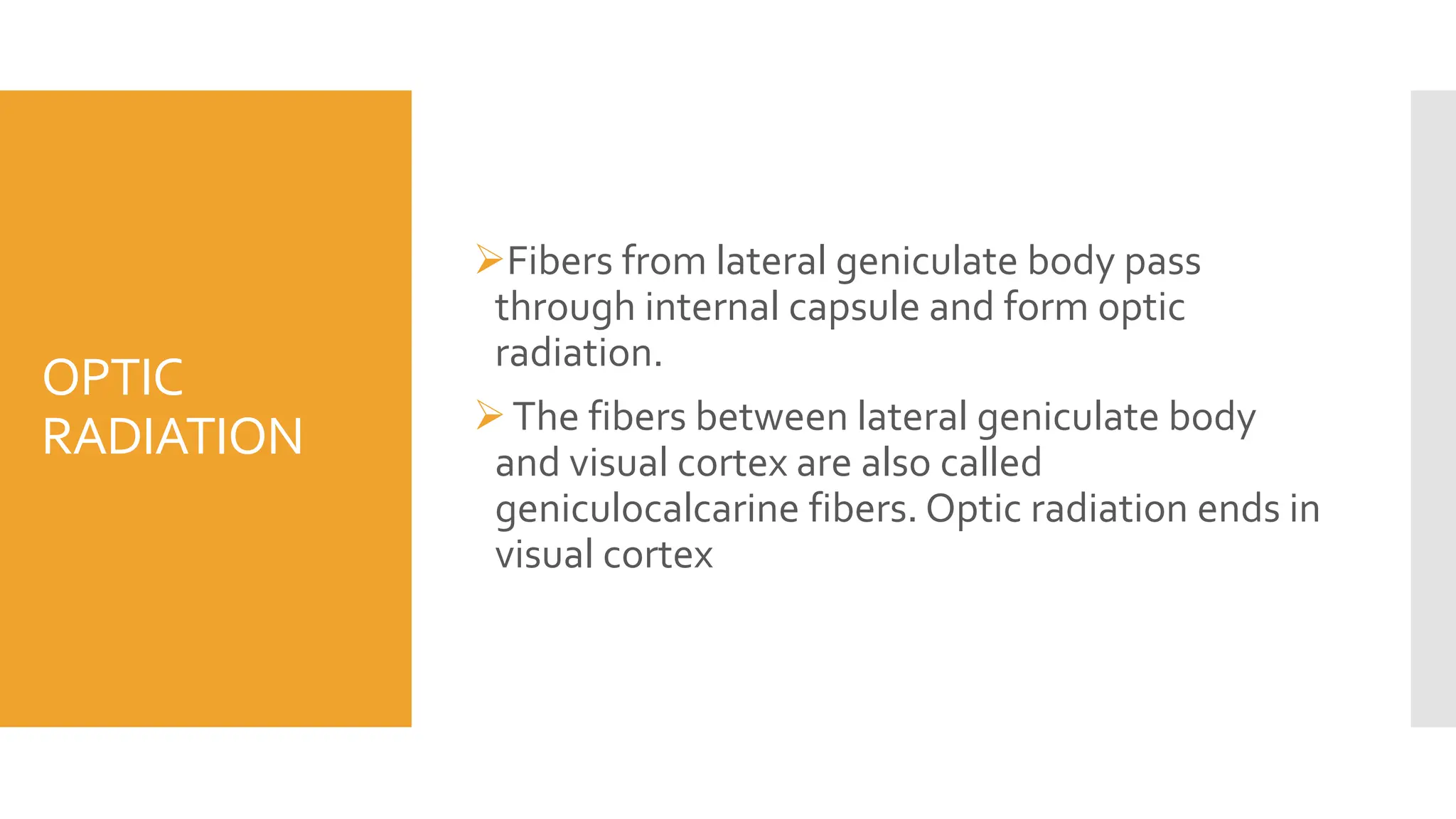 ANATOMY AND PHYSIOLOGY OF VISUAL PATHWAY | PPTX