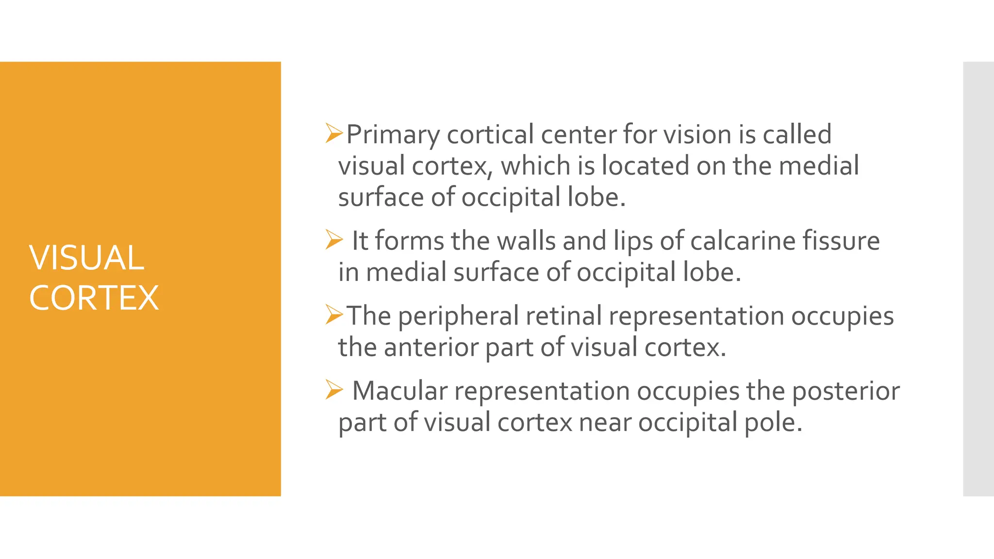 ANATOMY AND PHYSIOLOGY OF VISUAL PATHWAY | PPTX