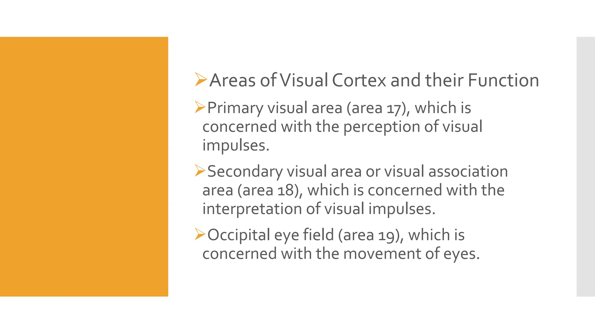 ANATOMY AND PHYSIOLOGY OF VISUAL PATHWAY | PPTX