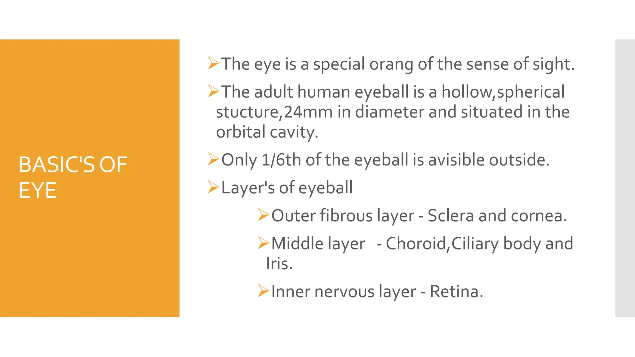 ANATOMY AND PHYSIOLOGY OF VISUAL PATHWAY | PPTX