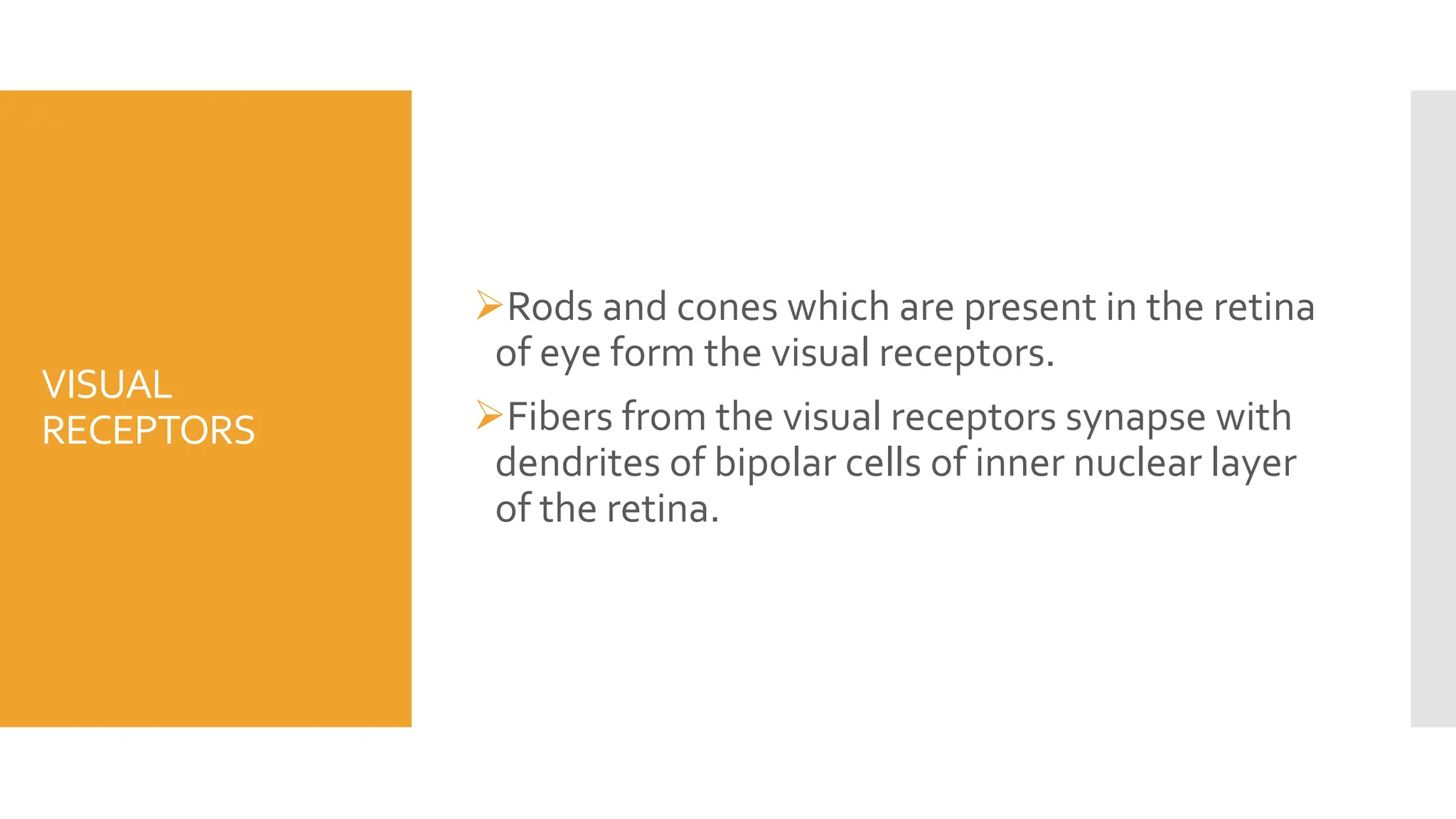 ANATOMY AND PHYSIOLOGY OF VISUAL PATHWAY | PPTX