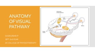 ANATOMY AND PHYSIOLOGY OF VISUAL PATHWAY | PPTX