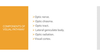 ANATOMY AND PHYSIOLOGY OF VISUAL PATHWAY | PPTX