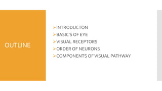 ANATOMY AND PHYSIOLOGY OF VISUAL PATHWAY | PPTX