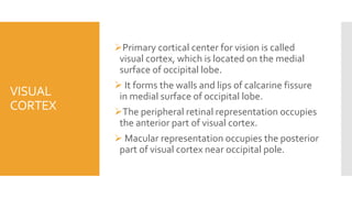 ANATOMY AND PHYSIOLOGY OF VISUAL PATHWAY | PPTX