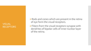 ANATOMY AND PHYSIOLOGY OF VISUAL PATHWAY | PPTX