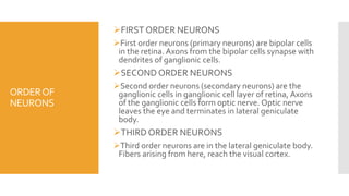 ANATOMY AND PHYSIOLOGY OF VISUAL PATHWAY | PPTX