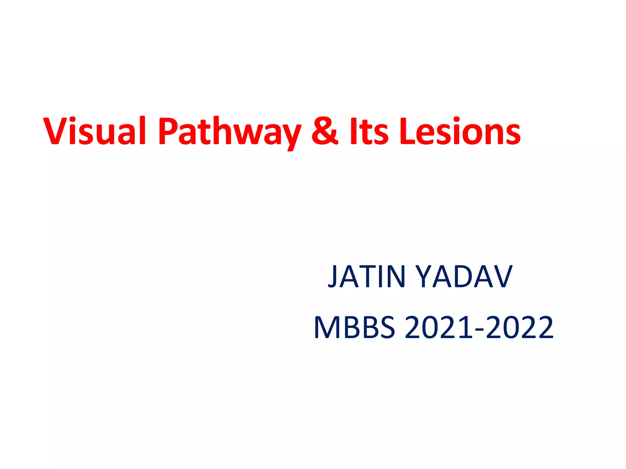 visual pathway & its lesions.pptx | Eye and Vision Conditions ...