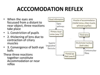 visual pathway & its lesions.pptx