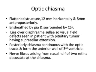 visual pathway & its lesions.pptx | Eye and Vision Conditions ...