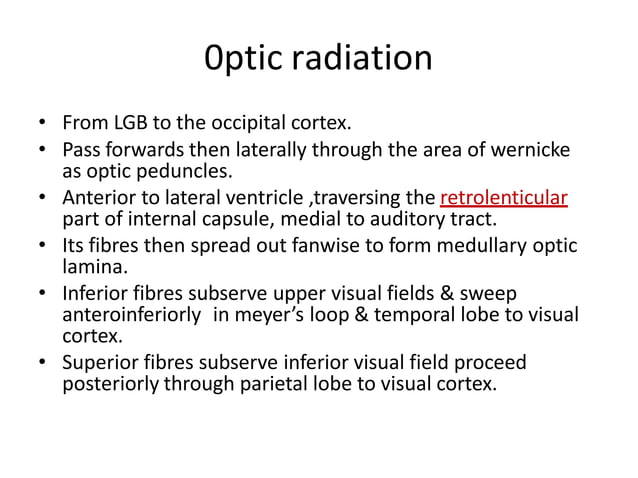visual pathway & its lesions.pptx | Eye and Vision Conditions ...