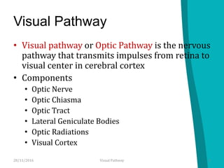 Visual pathway kHem | PPTX