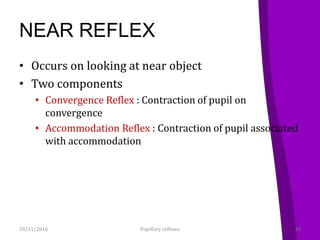 Visual pathway kHem | PPT