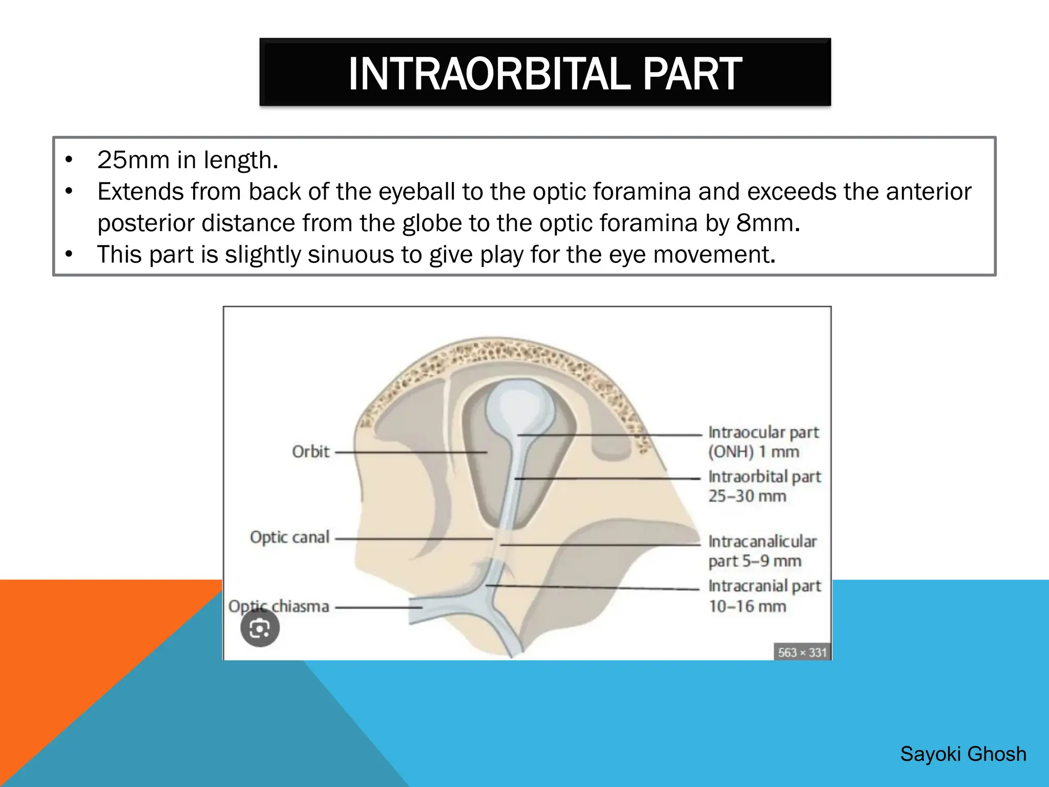VISUAL PATHWAY (part 1)_watermark[1].pdf
