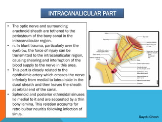 VISUAL PATHWAY (part 1)_watermark[1].pdf