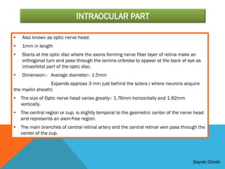 VISUAL PATHWAY (part 1)_watermark[1].pdf