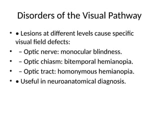 Eye Visual_Pathway_Presentation opthalmology.pptx