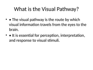 Eye Visual_Pathway_Presentation opthalmology.pptx