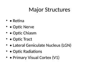 Eye Visual_Pathway_Presentation opthalmology.pptx