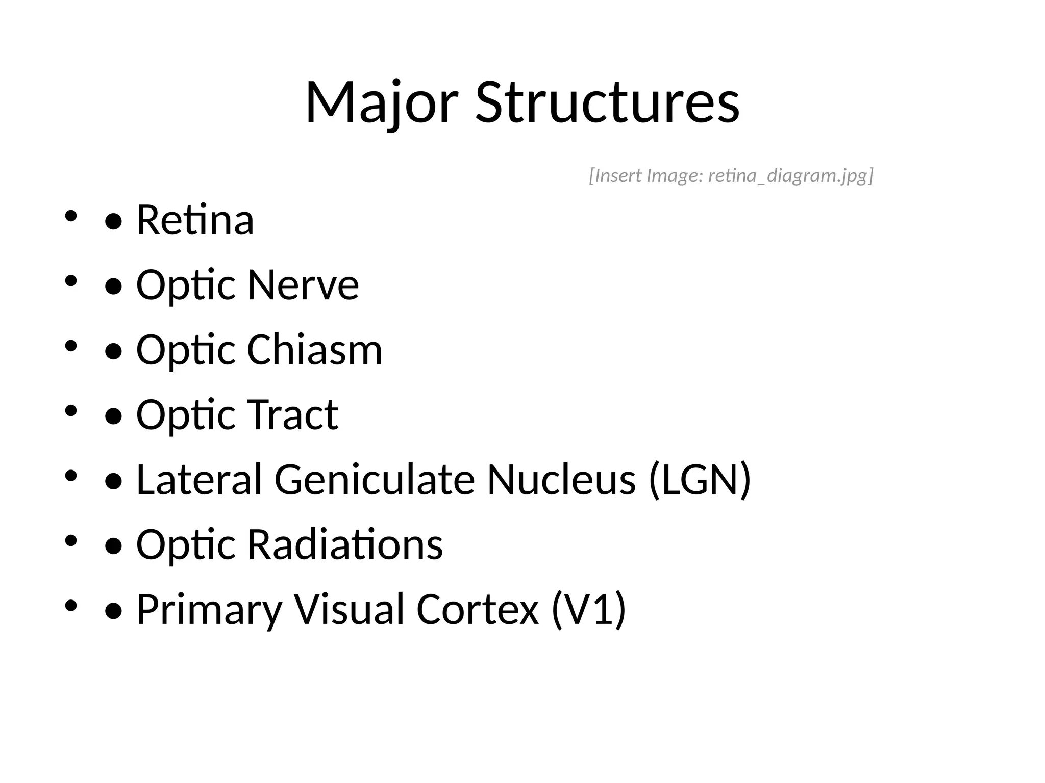 Visual Pathway Presentation With Images Pptx