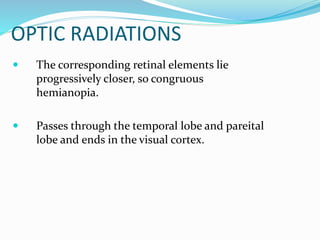 Visual pathways | PPTX