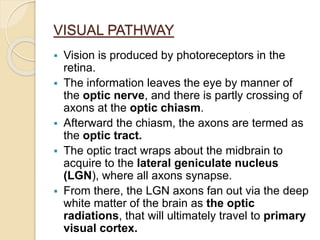 Visual pathways | PPTX