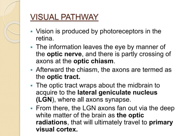 Visual pathways | PPT
