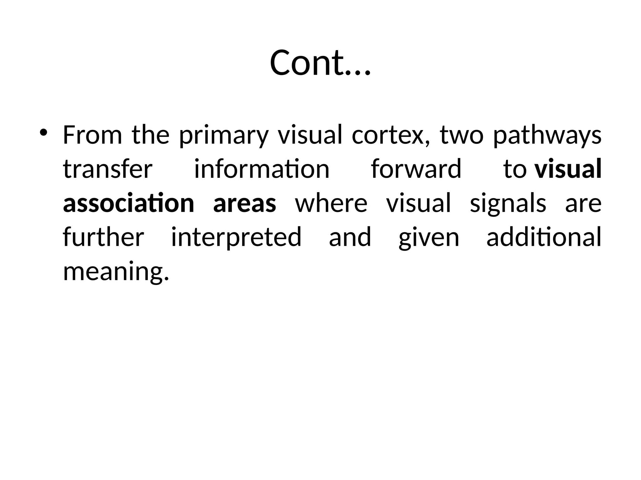 Comprehensive Visual Pathways Notes; The Visual Pathways is the ...