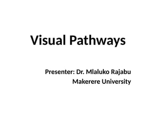 Comprehensive Visual Pathways Notes; The Visual Pathways is the ...