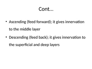 Comprehensive Visual Pathways Notes; The Visual Pathways is the ...
