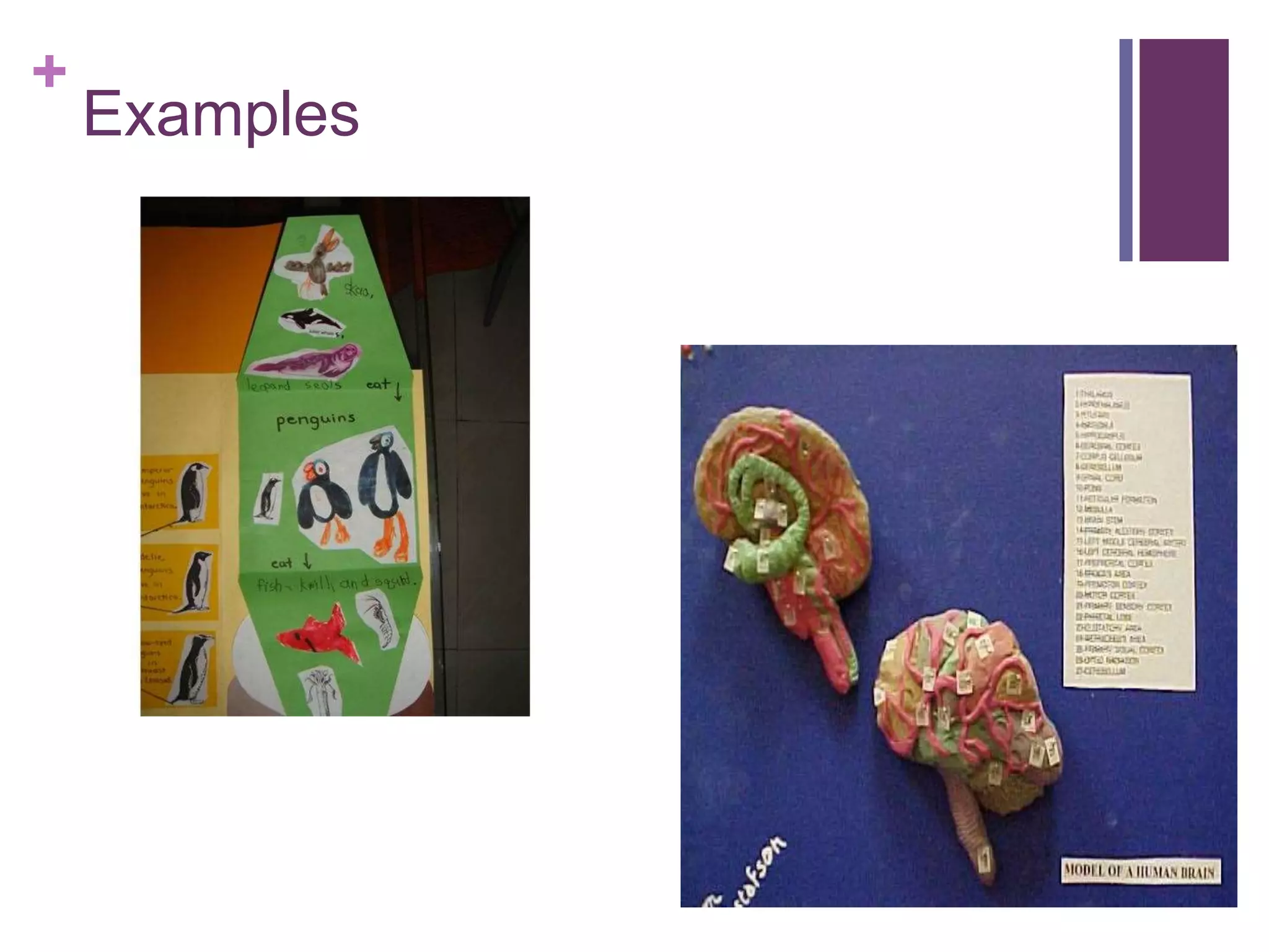 Kylee York - Visual Pedagogy Project: Art Integrated Into Science ...