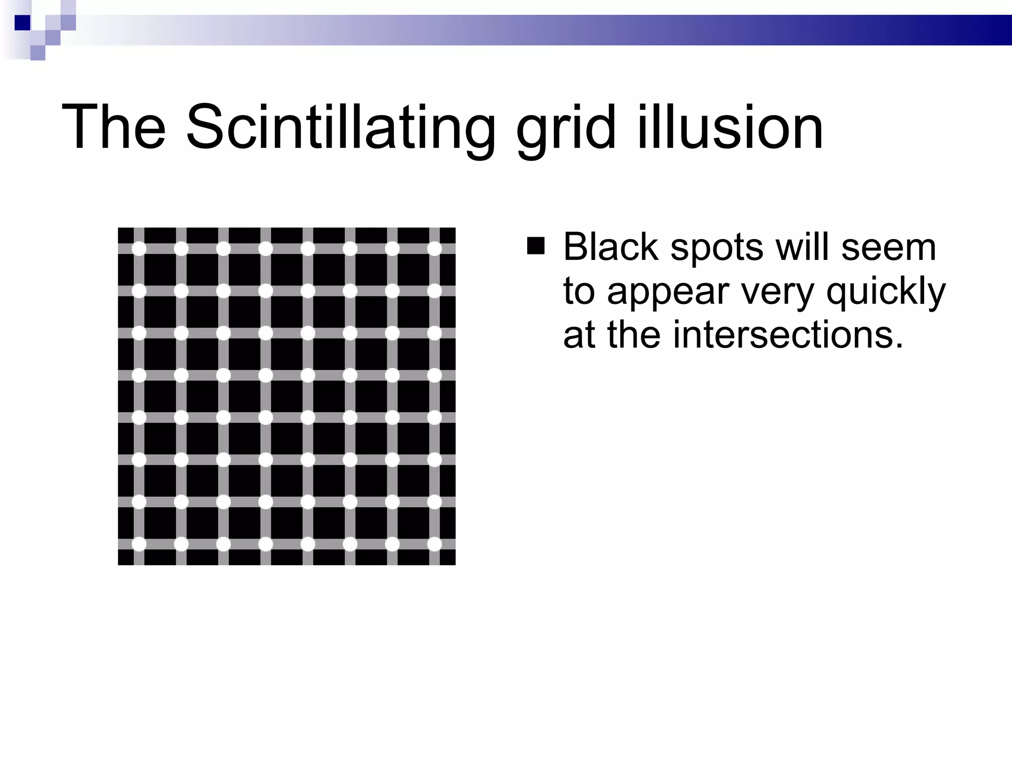 Visual perception 1 | PPT